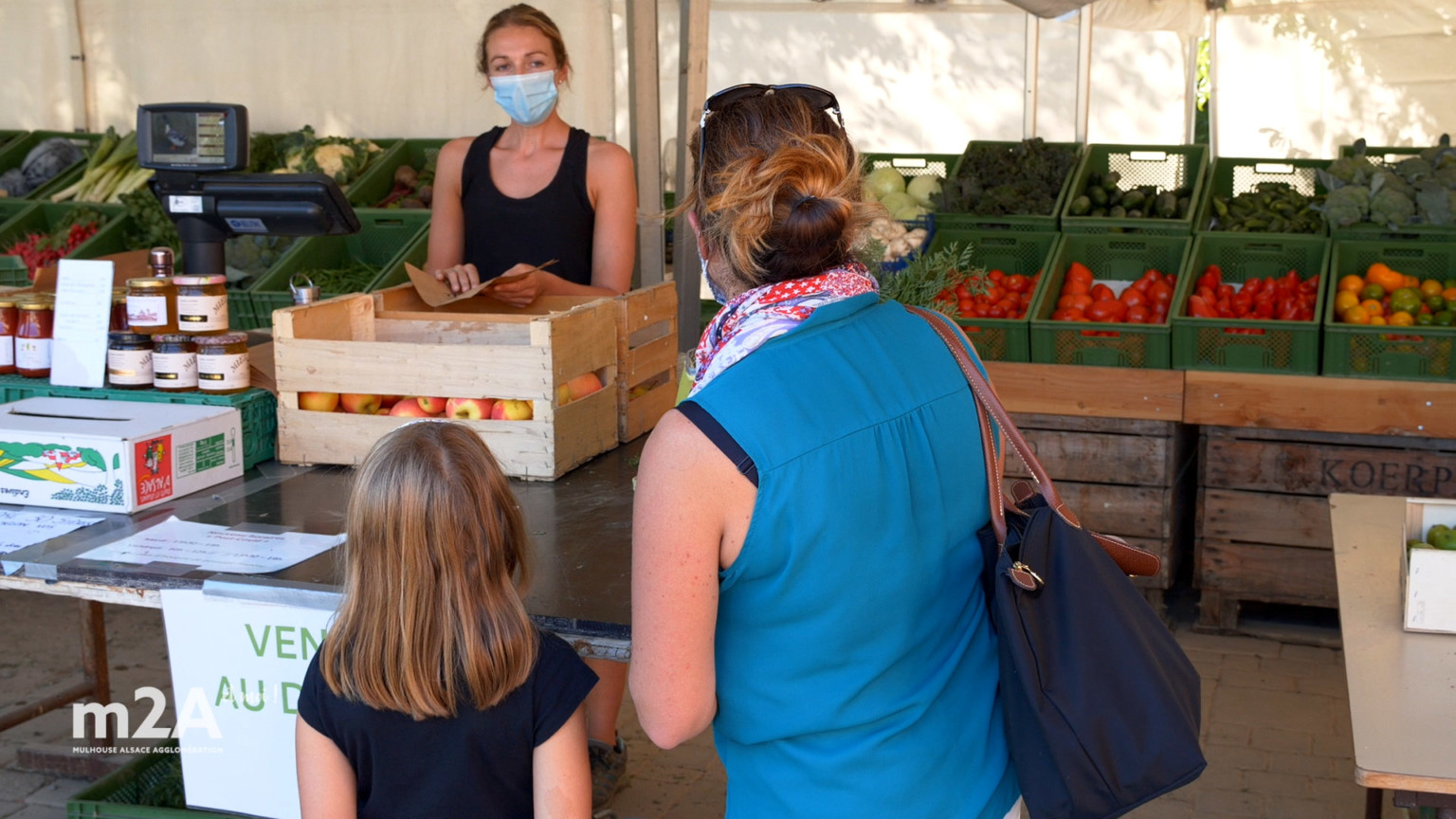 Mathieu Fischer : maraîcher en pratiques raisonnées à Zimmersheim | m2A ...