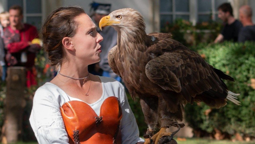 Voyagez dans le passé avec les Médiévales de Rixheim | m2A le mag ...